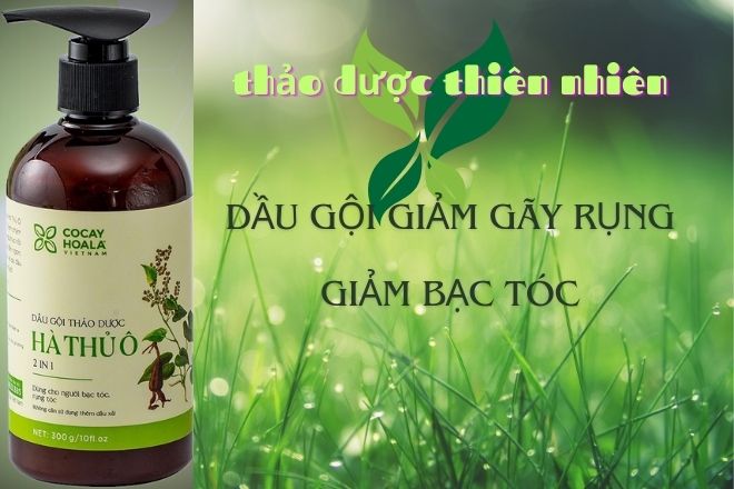 Review top 12 dầu gội nhuộm tóc đen tốt nhất hiện nay